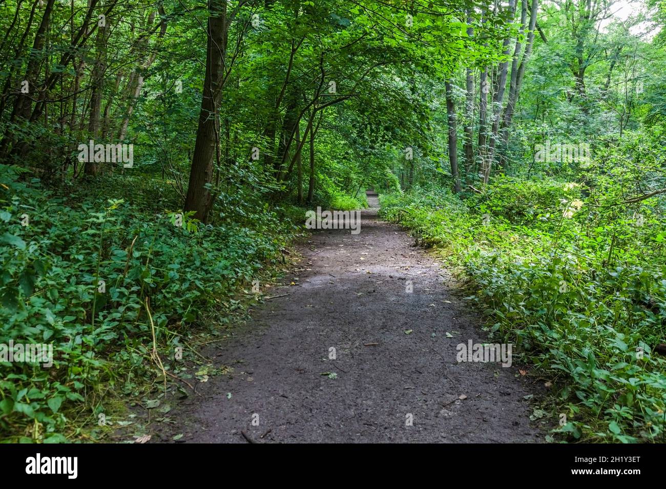 Wynyard park uk hi-res stock photography and images - Alamy