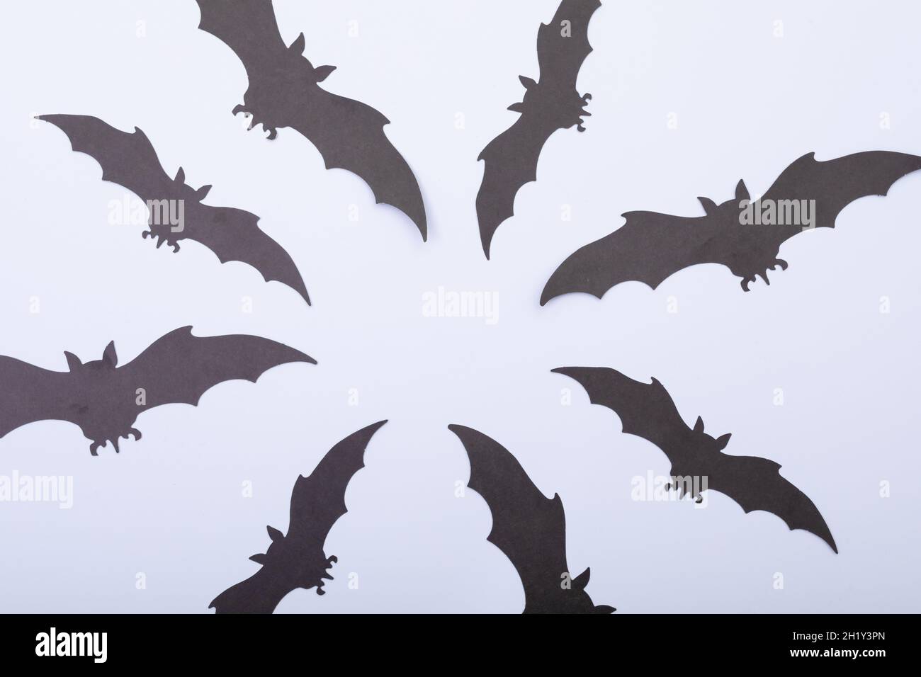 Composition of multiple halloween black bats flying on white background ...