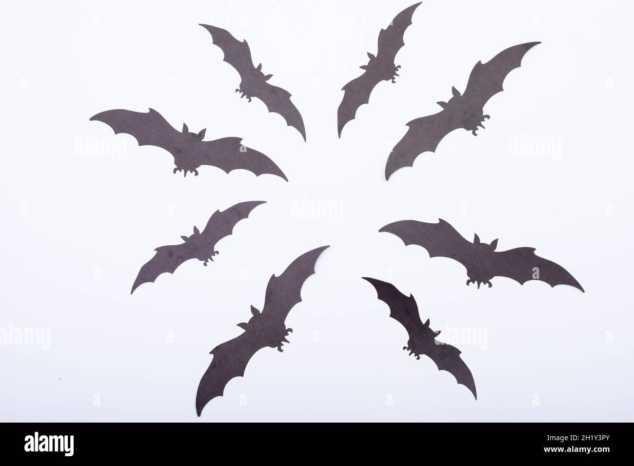 Composition of multiple halloween black bats flying on white background ...