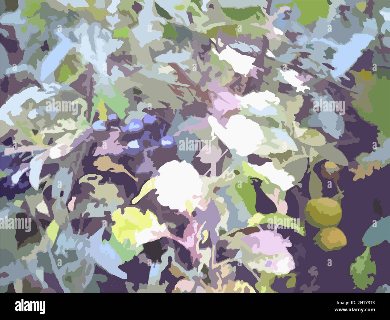 Multicolor plant hi-res stock photography and images - Alamy