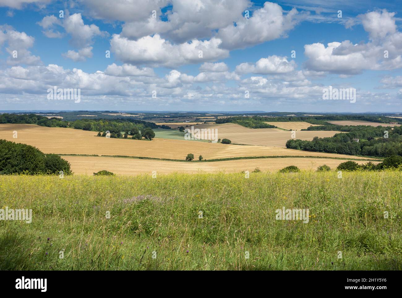Farley mount nature reserve hi-res stock photography and images - Alamy