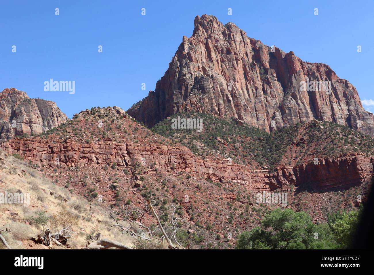 Serene view of the Watchman Mountain among rugged layered rock ...