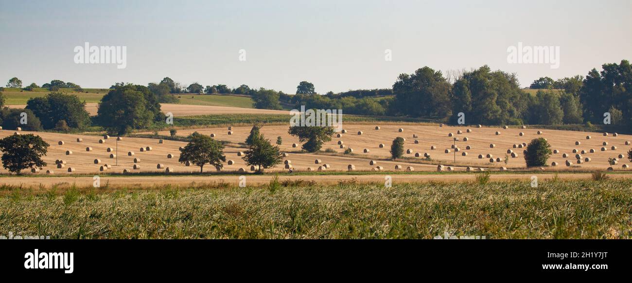 Suffolk bales hi-res stock photography and images - Alamy