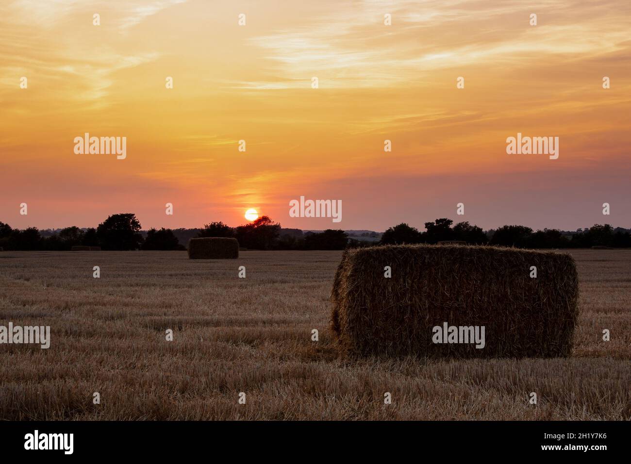 Suffolk bales hi-res stock photography and images - Alamy