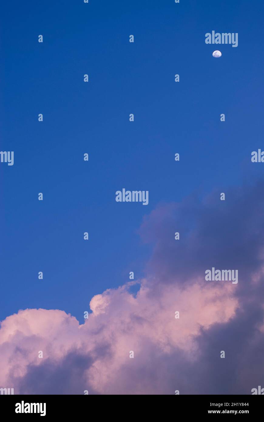 Pink tinged cumulus cloud beneath deep blue evening sky and gibbous ...
