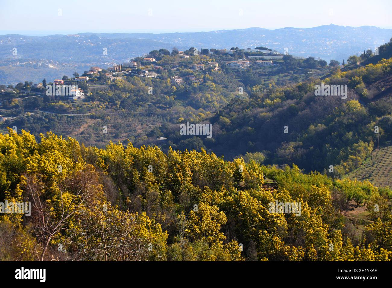 France var tanneron hi-res stock photography and images - Alamy