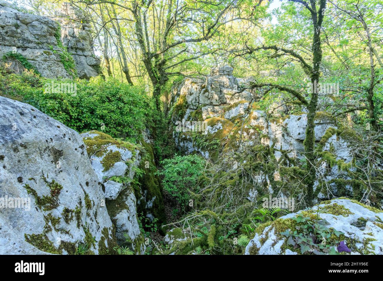 France, Ardeche, Parc naturel regional des Monts d'Ardeche (Monts d ...