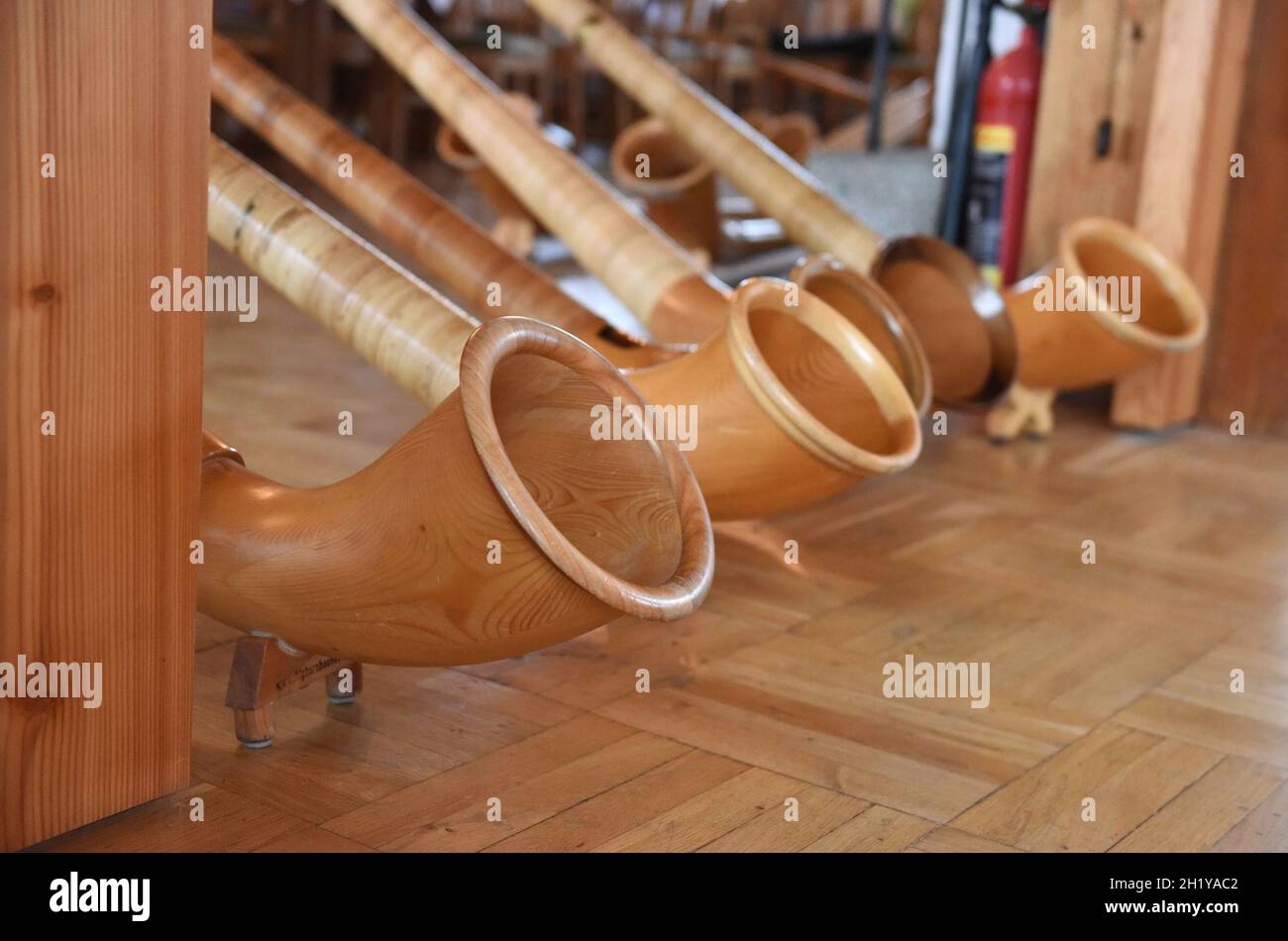 Das "Alphorn" ist ein mehrere Meter langes hölzernes Musikinstrument ...