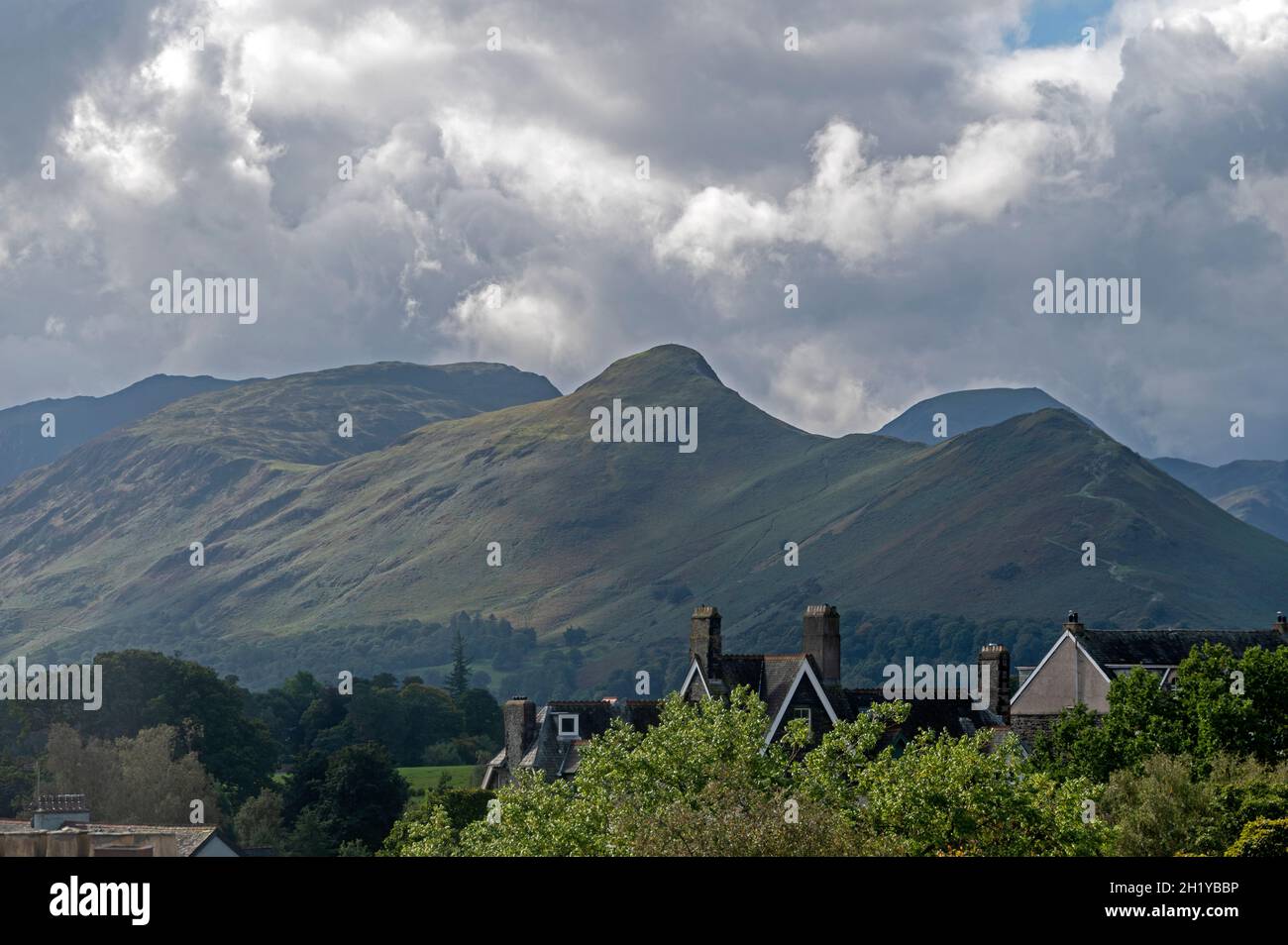 Cats bells hi-res stock photography and images - Alamy