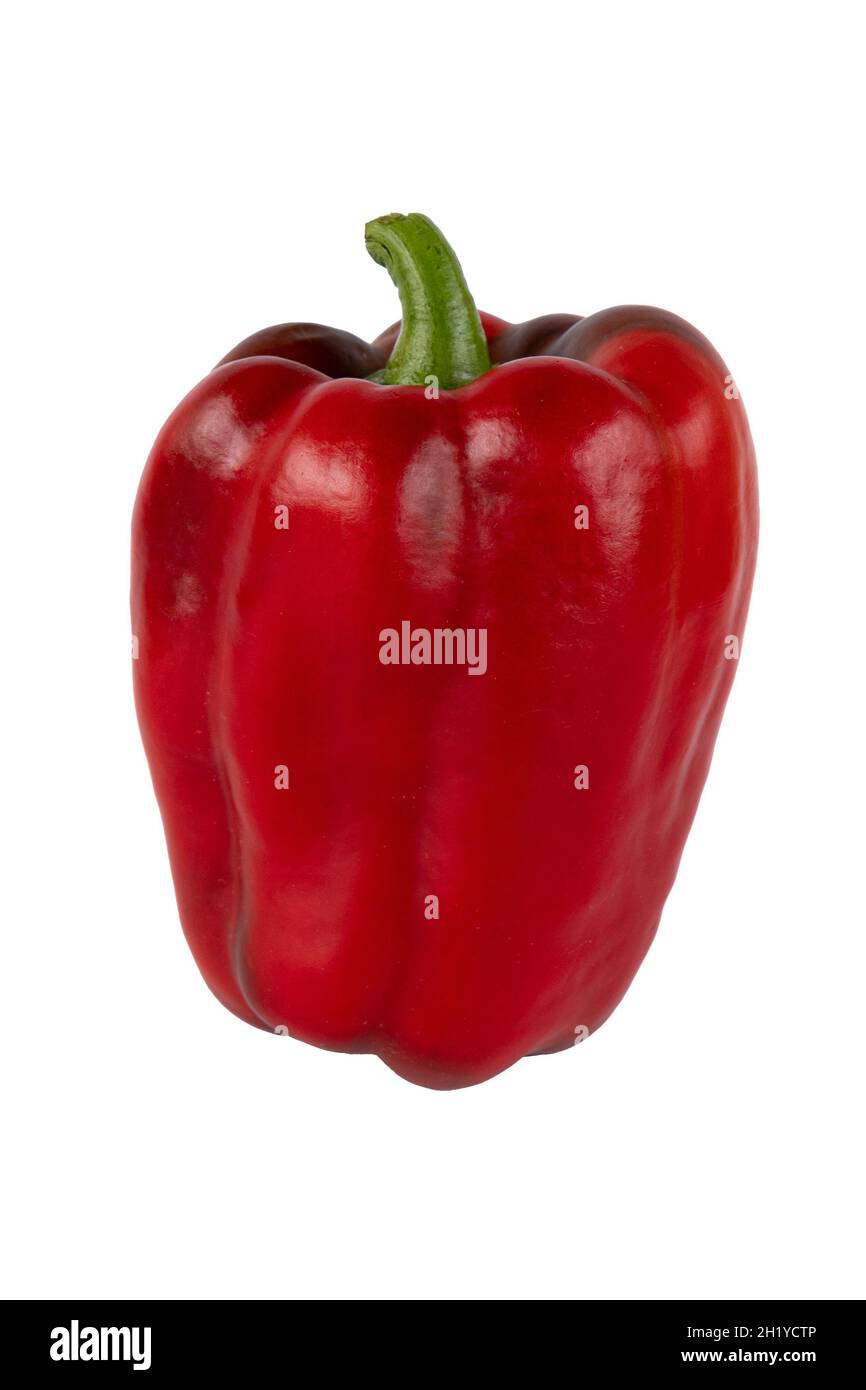 red bell pepper isolated on white background, whole paprika close up ...