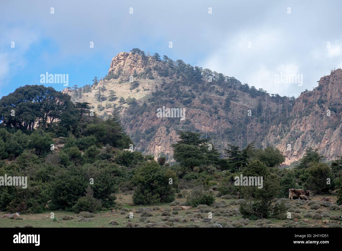 Belezma National park in the Aures region in Batna, Algeria Stock Photo ...