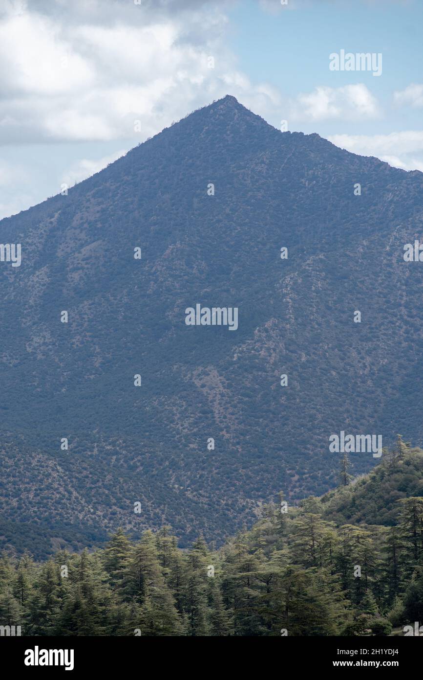 Belezma National park in the Aures region in Batna, Algeria Stock Photo ...