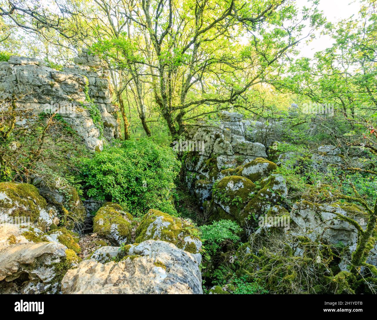 France, Ardeche, Parc naturel regional des Monts d'Ardeche (Monts d ...