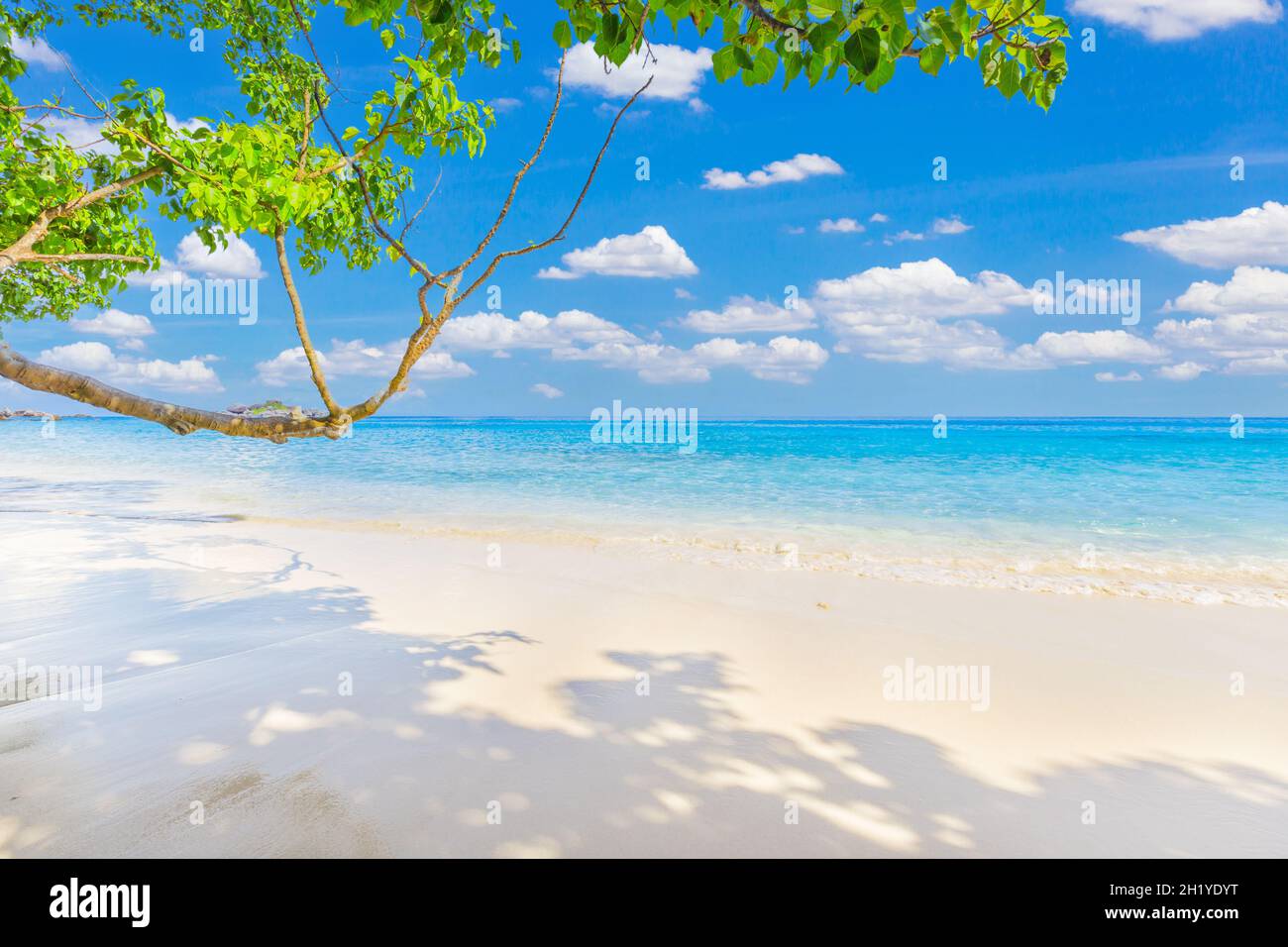 Beautiful sandy beach with wave crashing on sandy shore at Similan ...