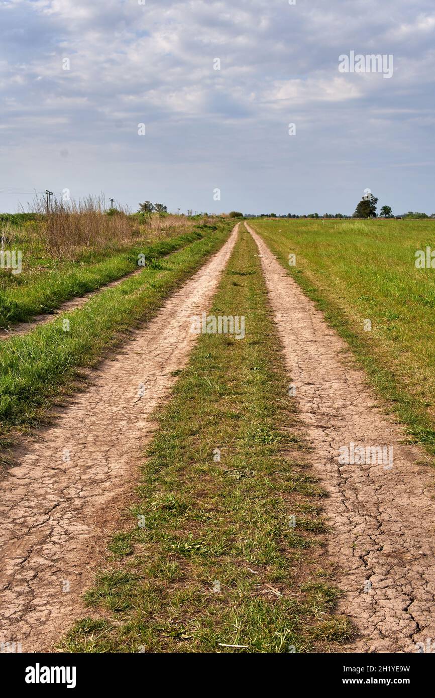 Rural Dirt Road Through Grassland in Argentina. Horizontal Stock Photo ...