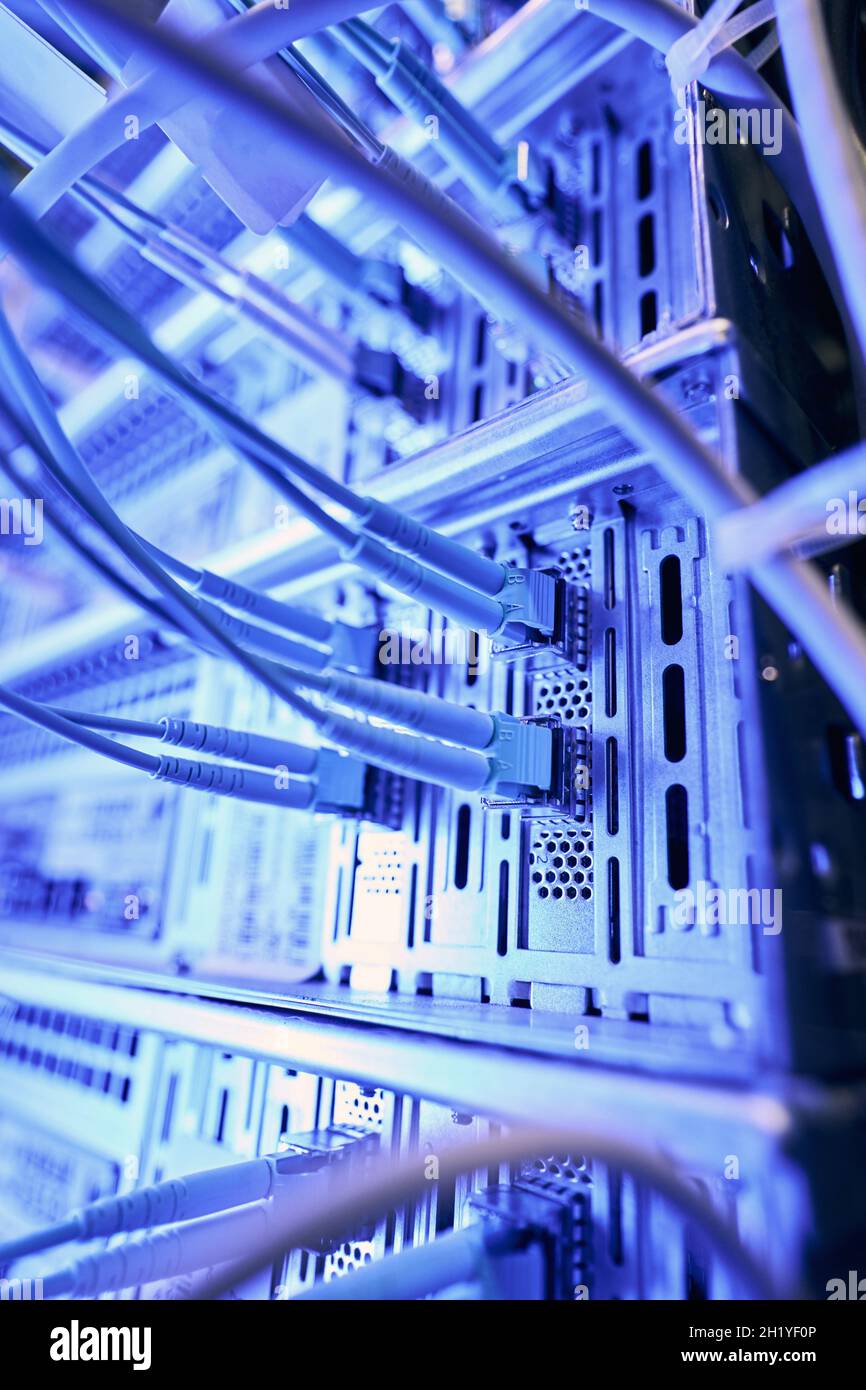 Multiple data cables plugged into network switches Stock Photo - Alamy