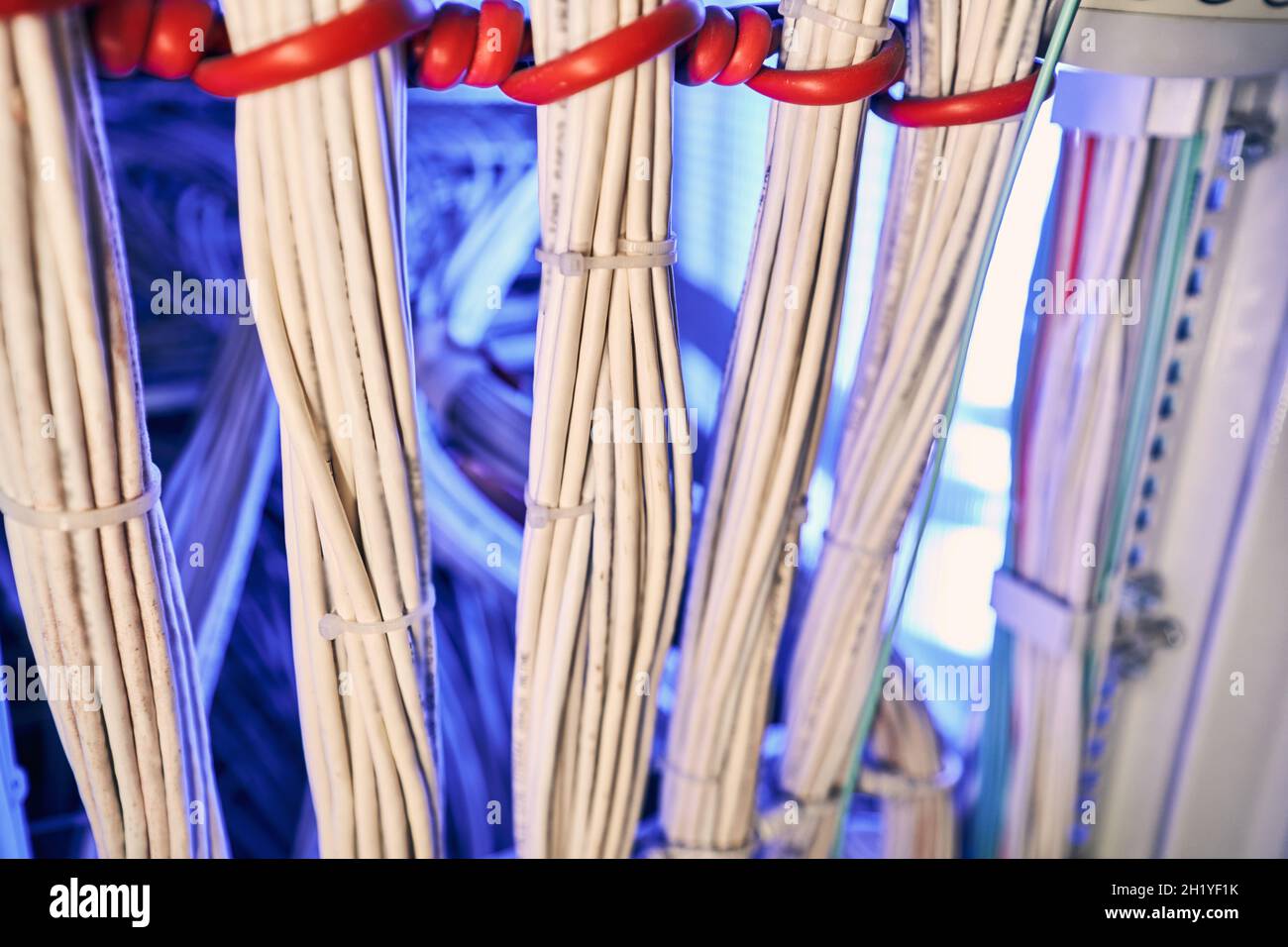Vertical cable management in data center server cabinet Stock Photo - Alamy