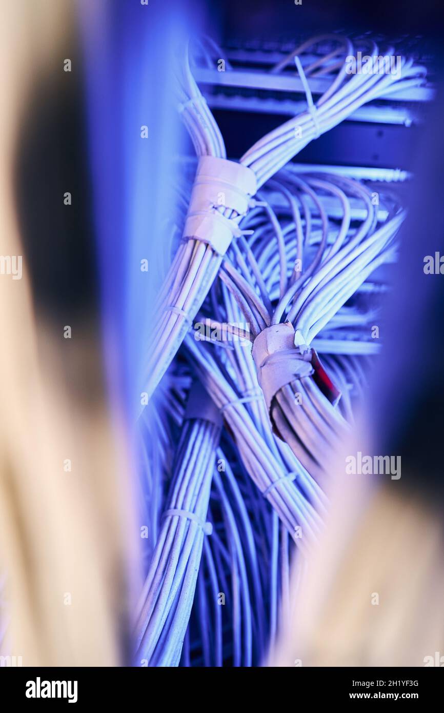 Numerous LED-illuminated network cables secured with fasteners Stock ...