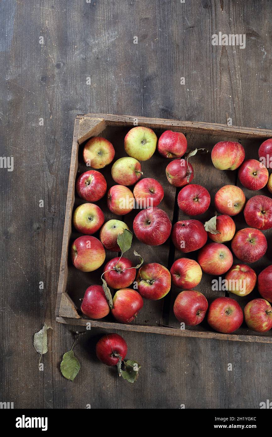 Red apples seen from above hi-res stock photography and images - Alamy