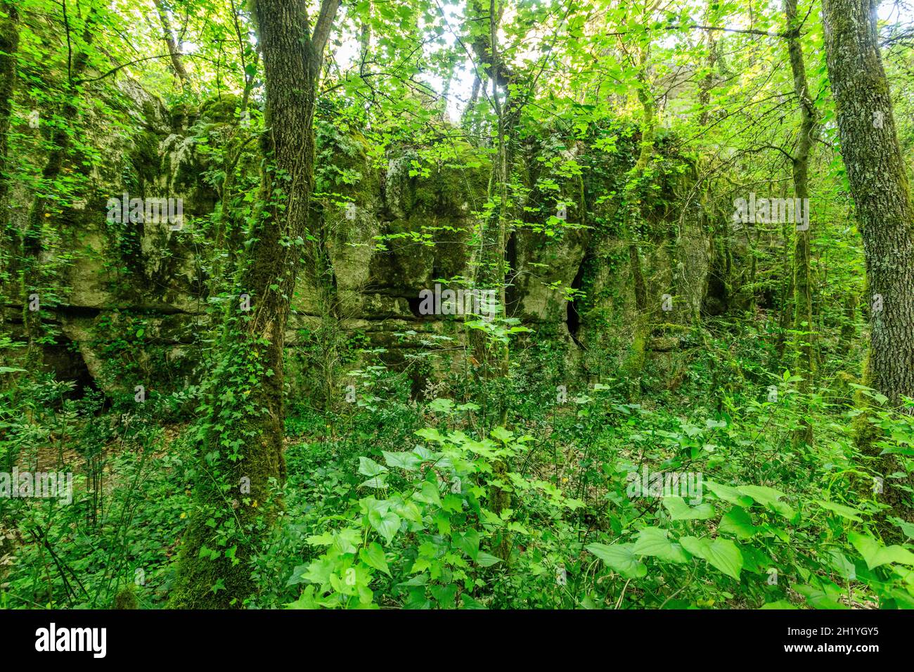 France, Ardeche, Parc naturel regional des Monts d'Ardeche (Monts d ...