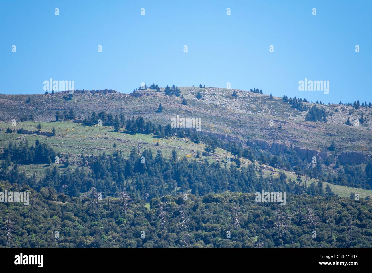 Mount Chelia in the Aures region Stock Photo - Alamy