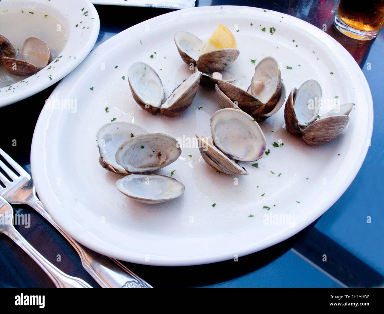 Empty clam shells Stock Photo - Alamy