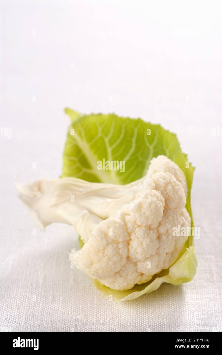 A cauliflower floret with a leaf Stock Photo - Alamy