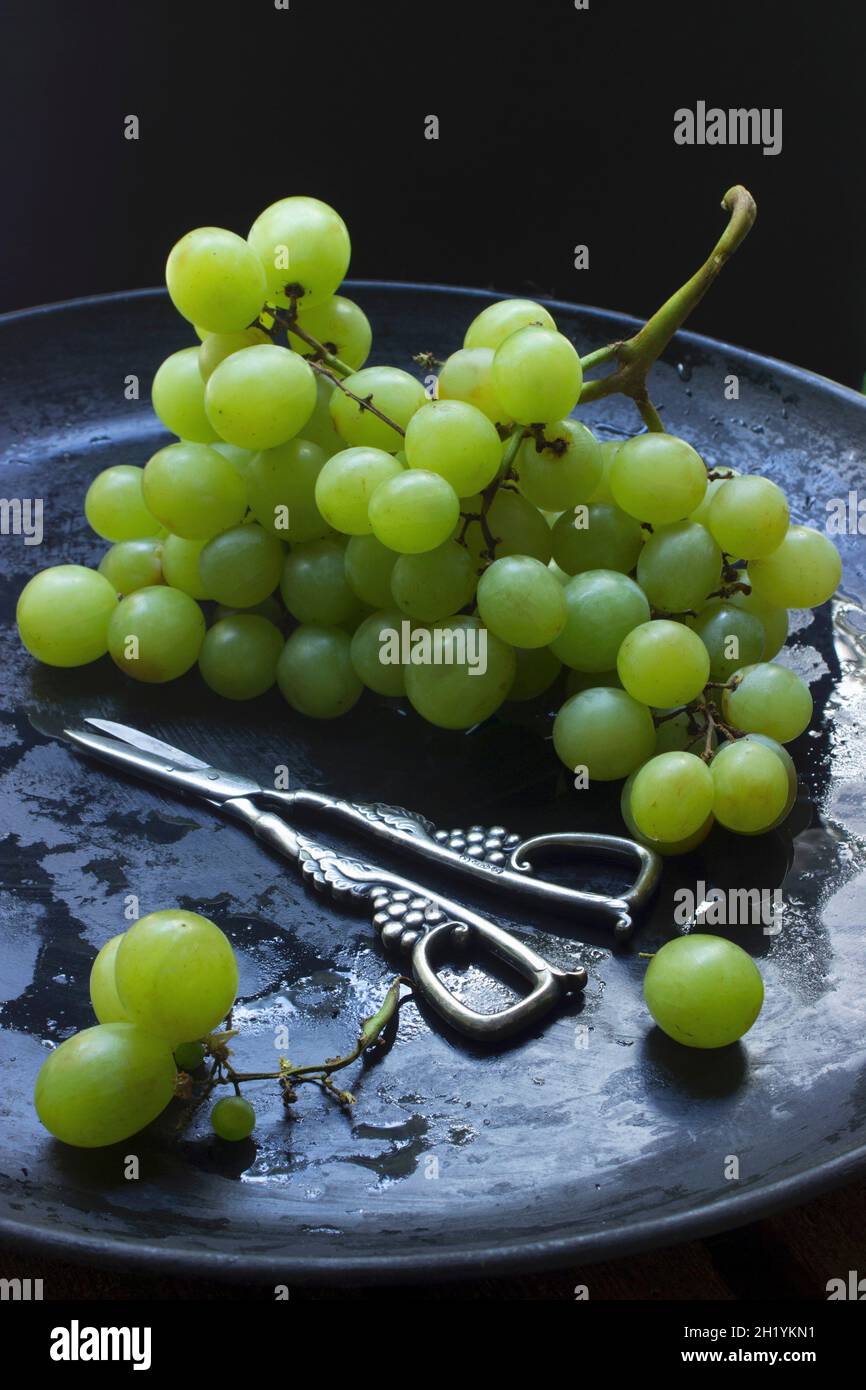 Grape scissors hi-res stock photography and images - Alamy