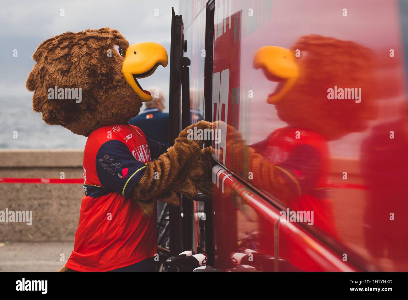 Il falco hi-res stock photography and images - Alamy