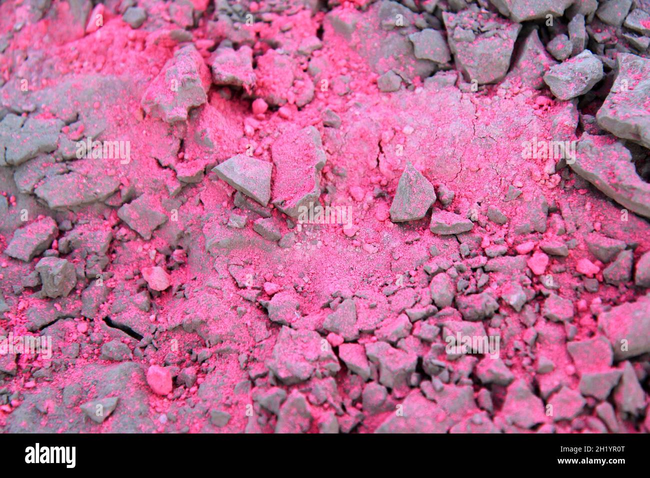 Pink powder sprinkled on the floor during Holi season, the new year in ...