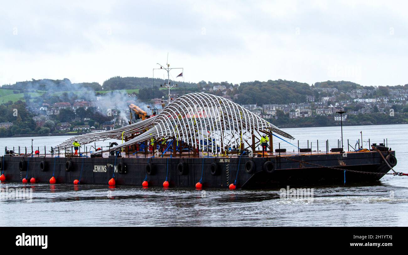 36 metre 22 tonne whale hi-res stock photography and images - Alamy