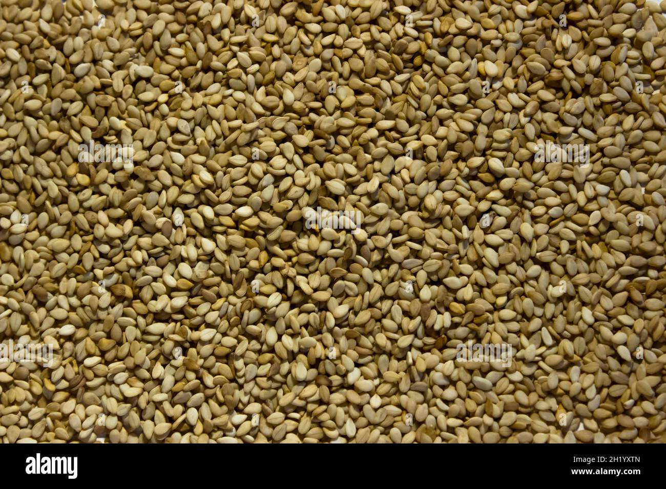 Linseeds and sunflower seeds hi-res stock photography and images - Alamy