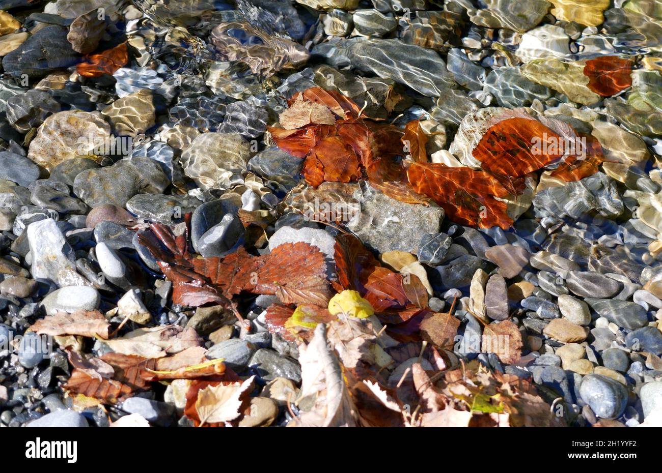 Pebbles in stream hi-res stock photography and images - Alamy