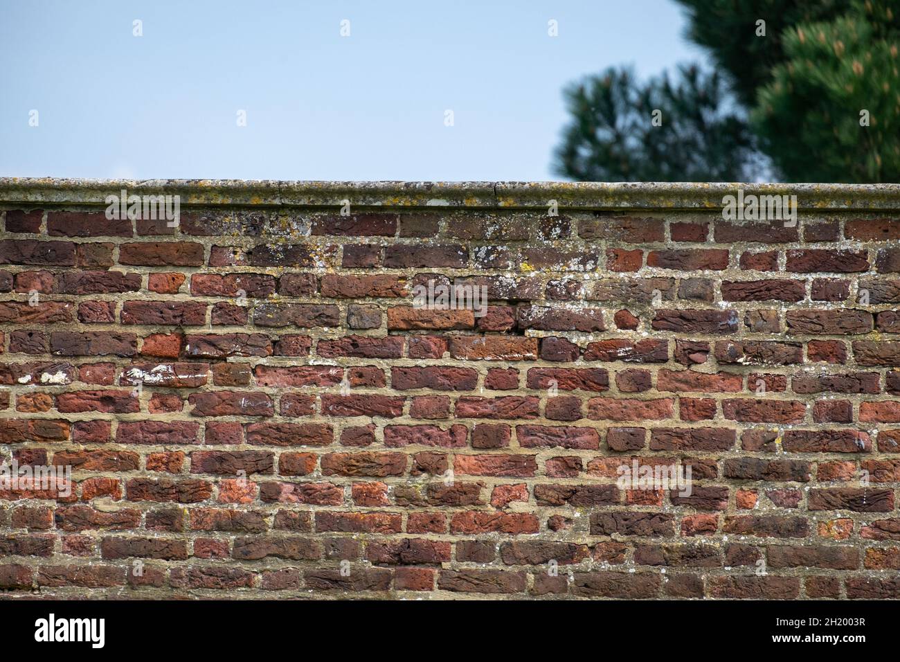red brick wall Stock Photo - Alamy