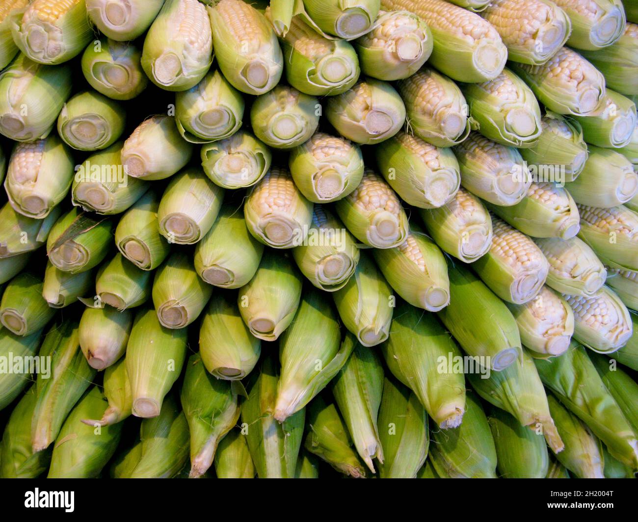 A stack of corn cobs at a market Stock Photo - Alamy