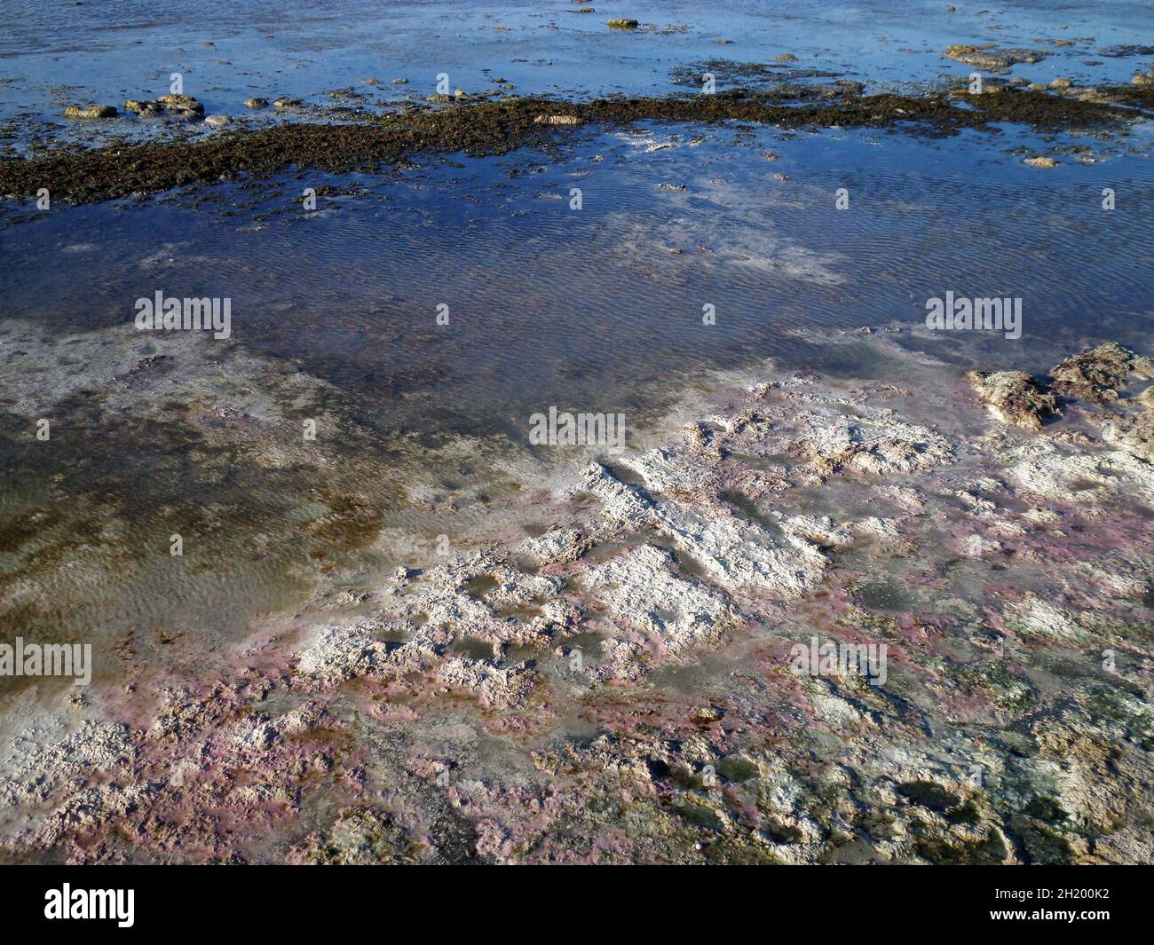 Sea water pollution hi-res stock photography and images - Alamy