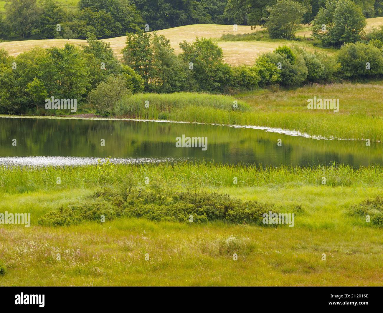 Outgate hi-res stock photography and images - Alamy