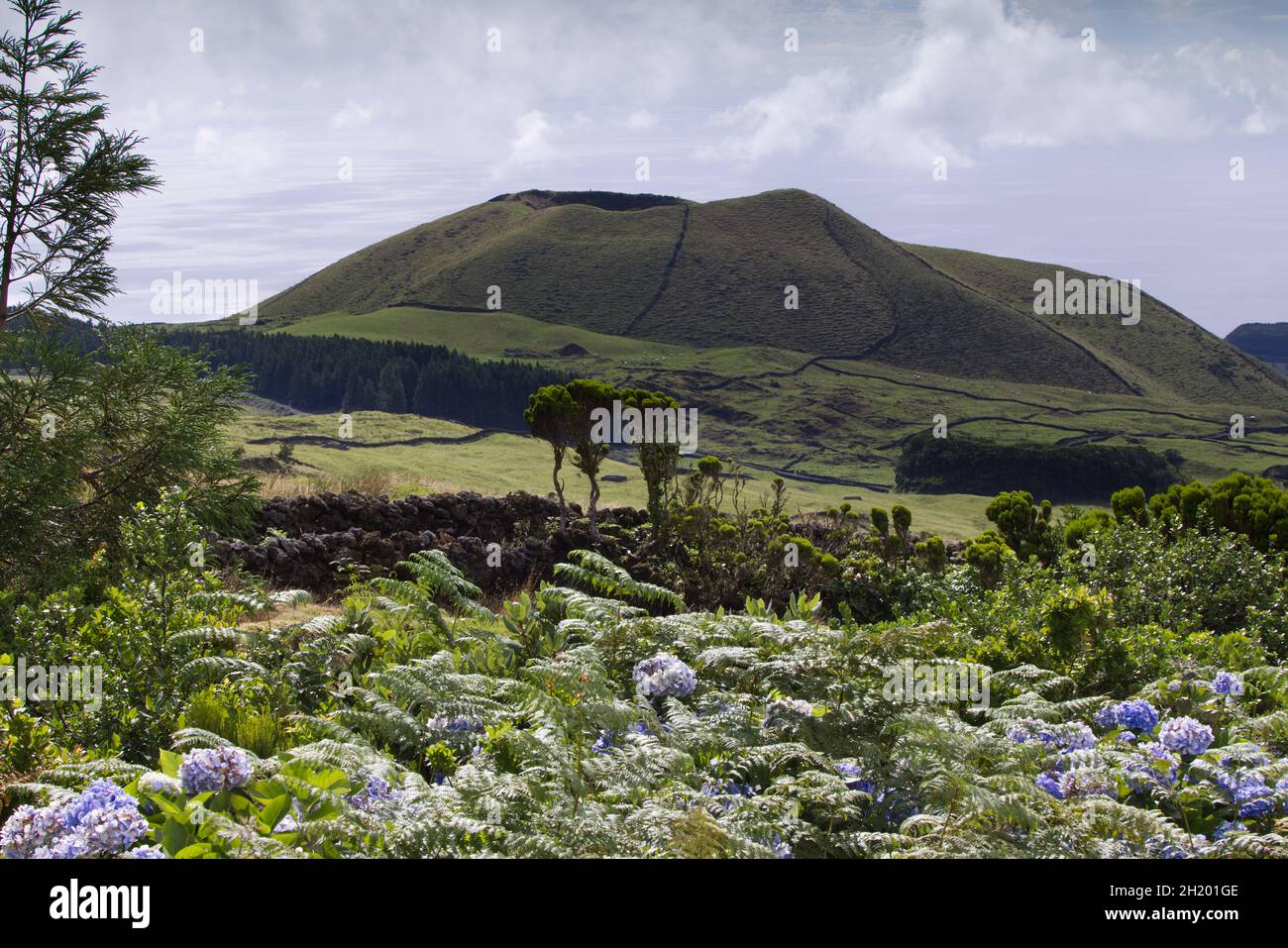 Volcanic landscape of the island of Pico, Azores Stock Photo - Alamy