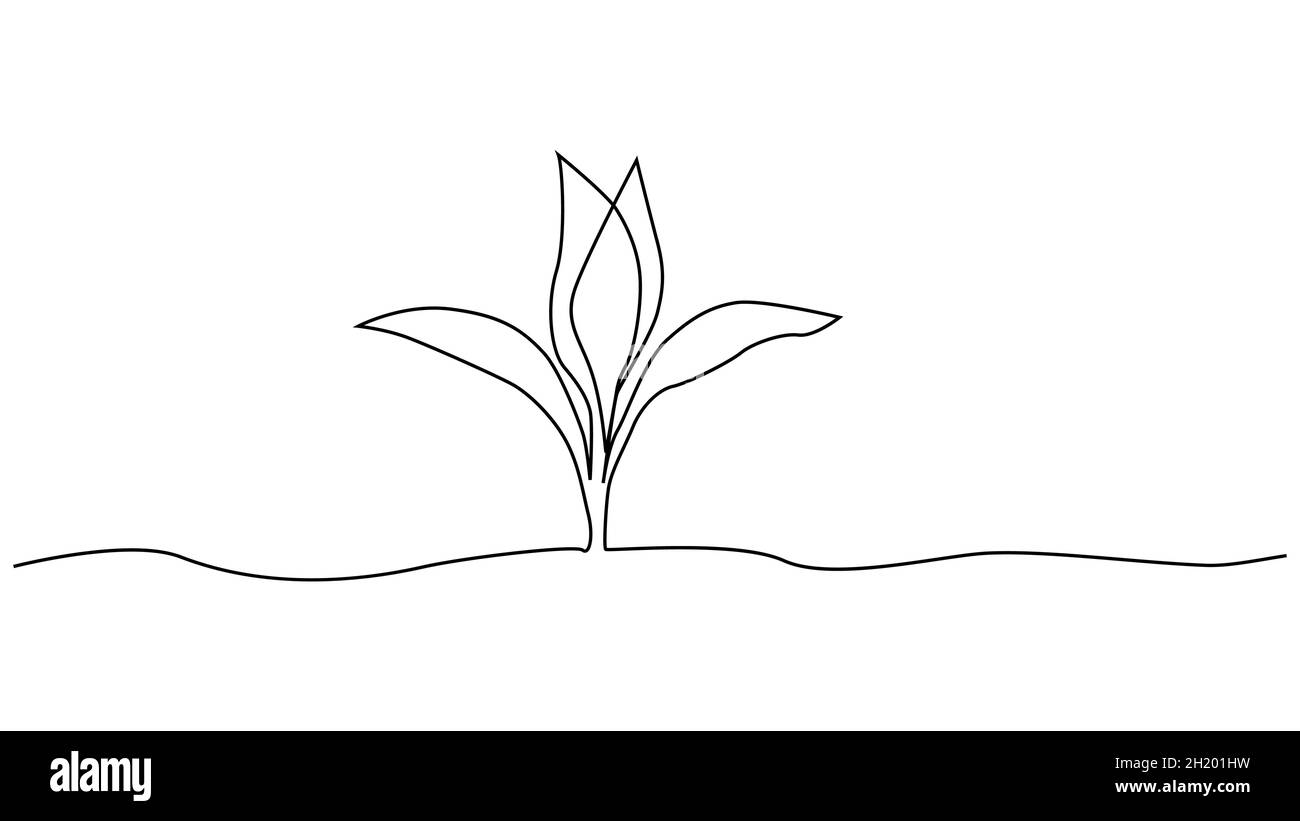 Single continuous line art growing sprout. Plant leaves seed grow soil ...