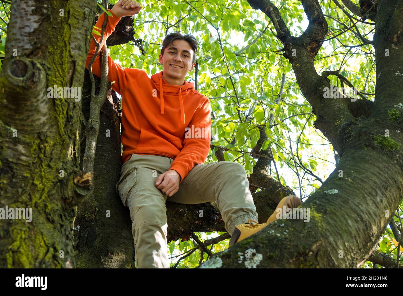 Young man smiling after climbing on a tree. Living in the forest with a ...