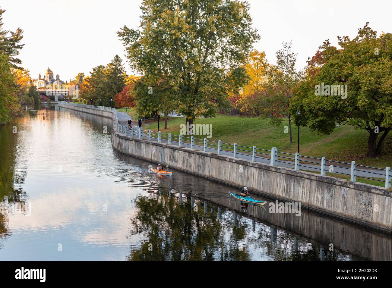 2021 hog hi-res stock photography and images - Alamy