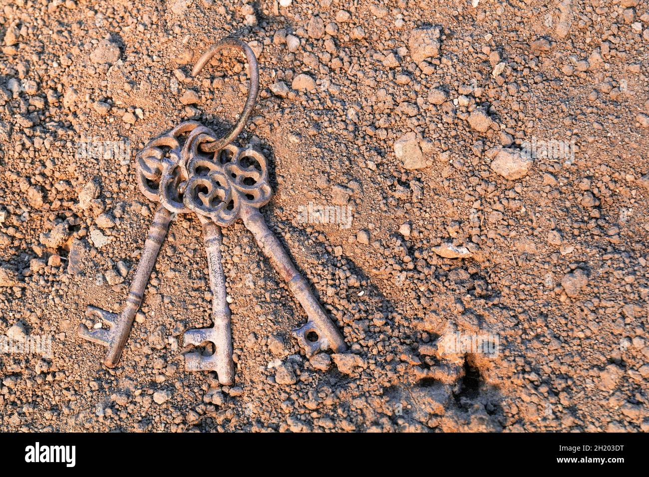 Old rusty key on grunge background. Antique keys on the rusty ground of ...