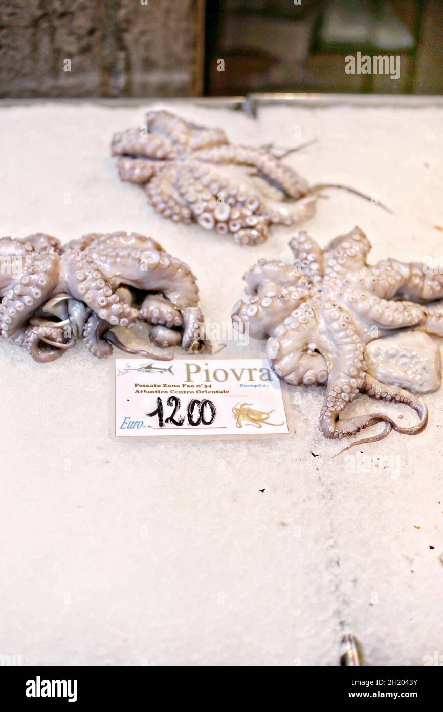 Octopuses at a fish market hi-res stock photography and images - Alamy
