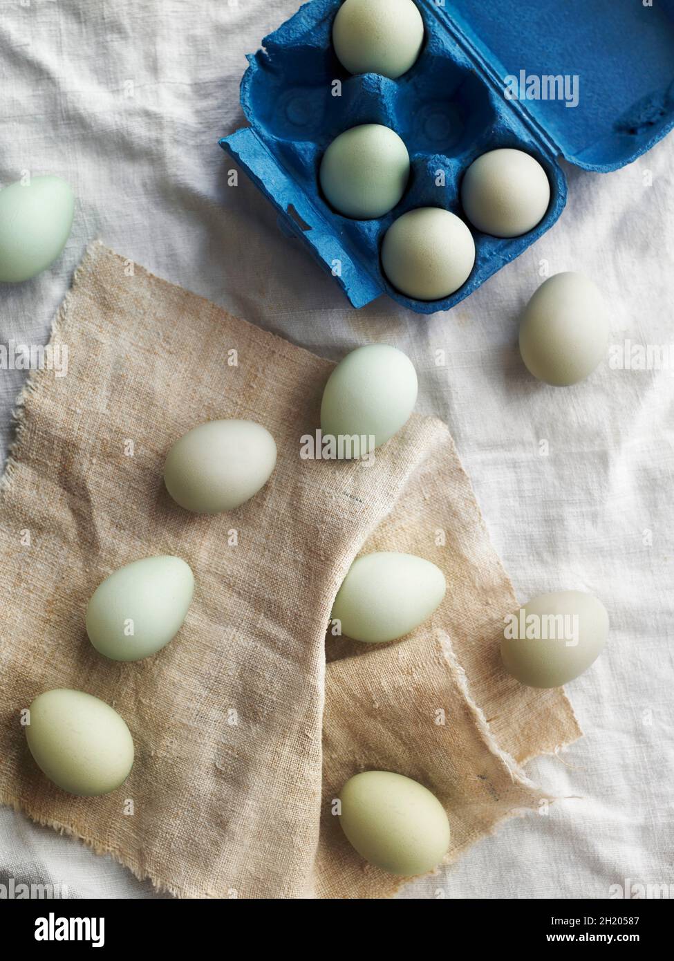 White eggs and blue egg box Stock Photo - Alamy