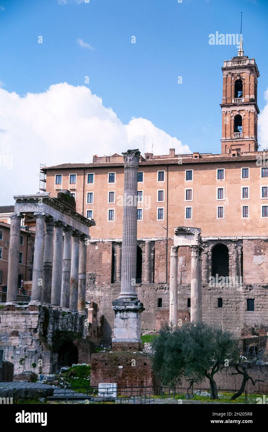 Temple of Saturn, fluted Corinthian Column of Phocas and The Temple of ...
