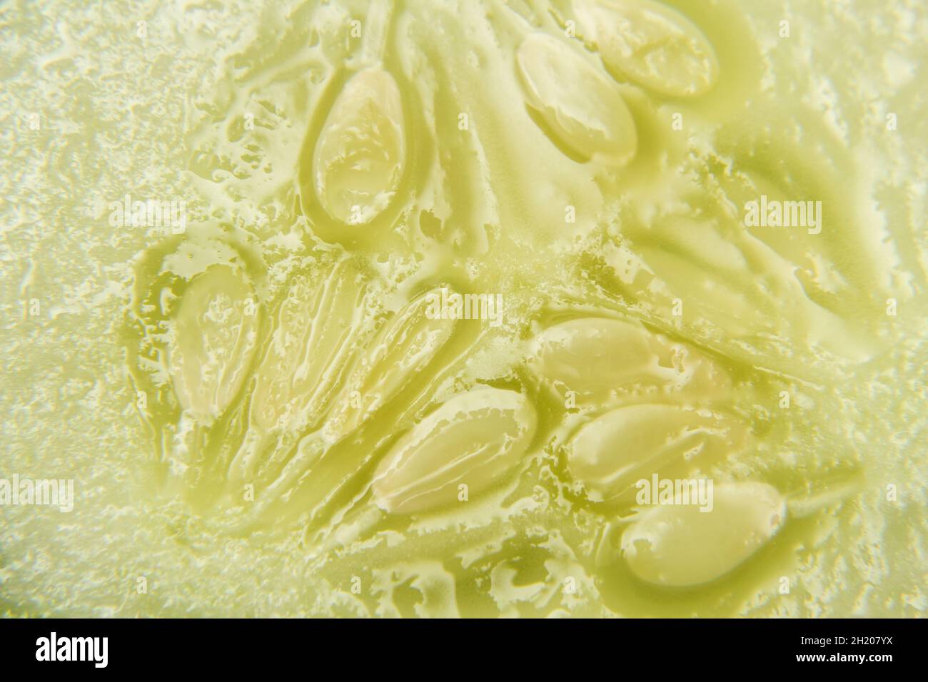 Cucumber slice texture close-up Stock Photo - Alamy