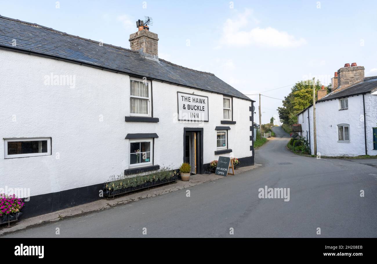 Hawk and buckle hi-res stock photography and images - Alamy