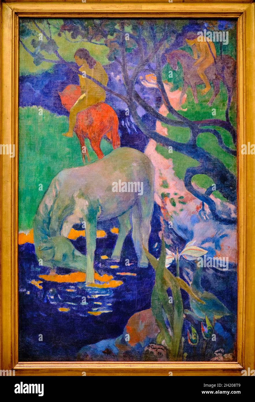 France, Paris, Orsay museum, Le Cheval blanc, Paul Gauguin Stock Photo ...