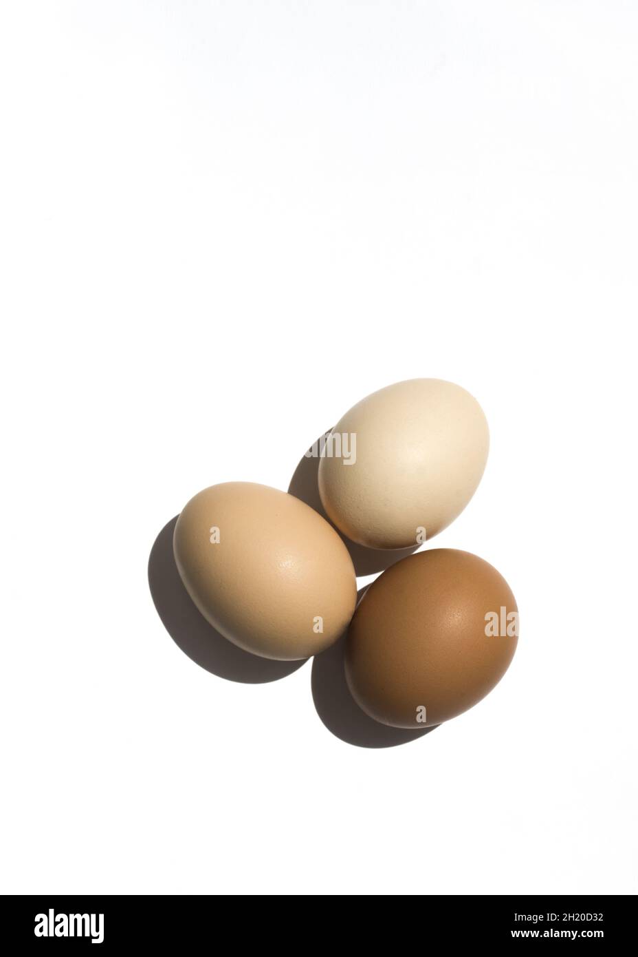 Which one would you choose Stock Photo - Alamy