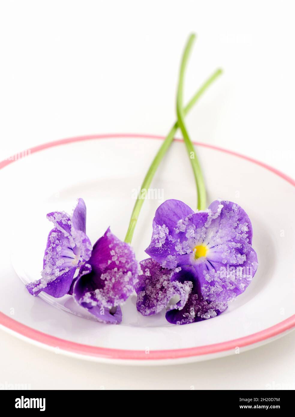 Crystallised violets hi-res stock photography and images - Alamy